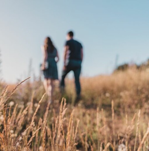 Touring & Camping | Wooda Farm Holiday Park | Bude, Cornwall