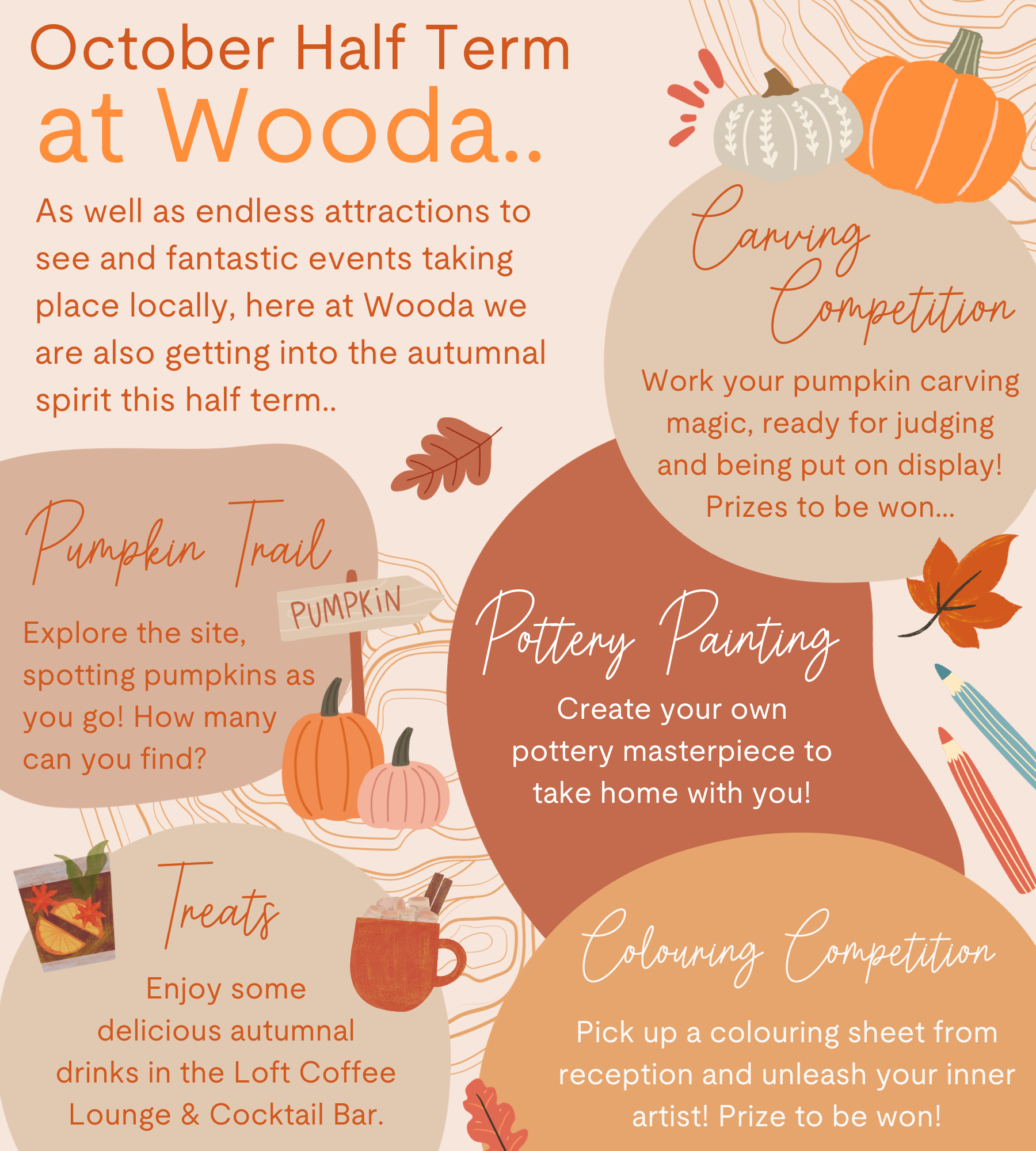 What's On At Wooda | Wooda Farm Holiday Park