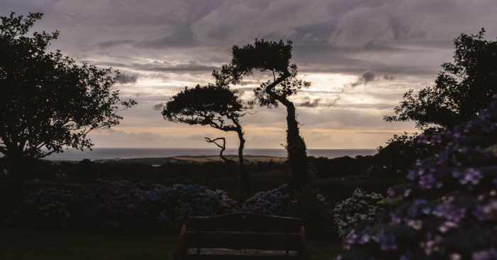 An Interview with the Colwills | Wooda Farm