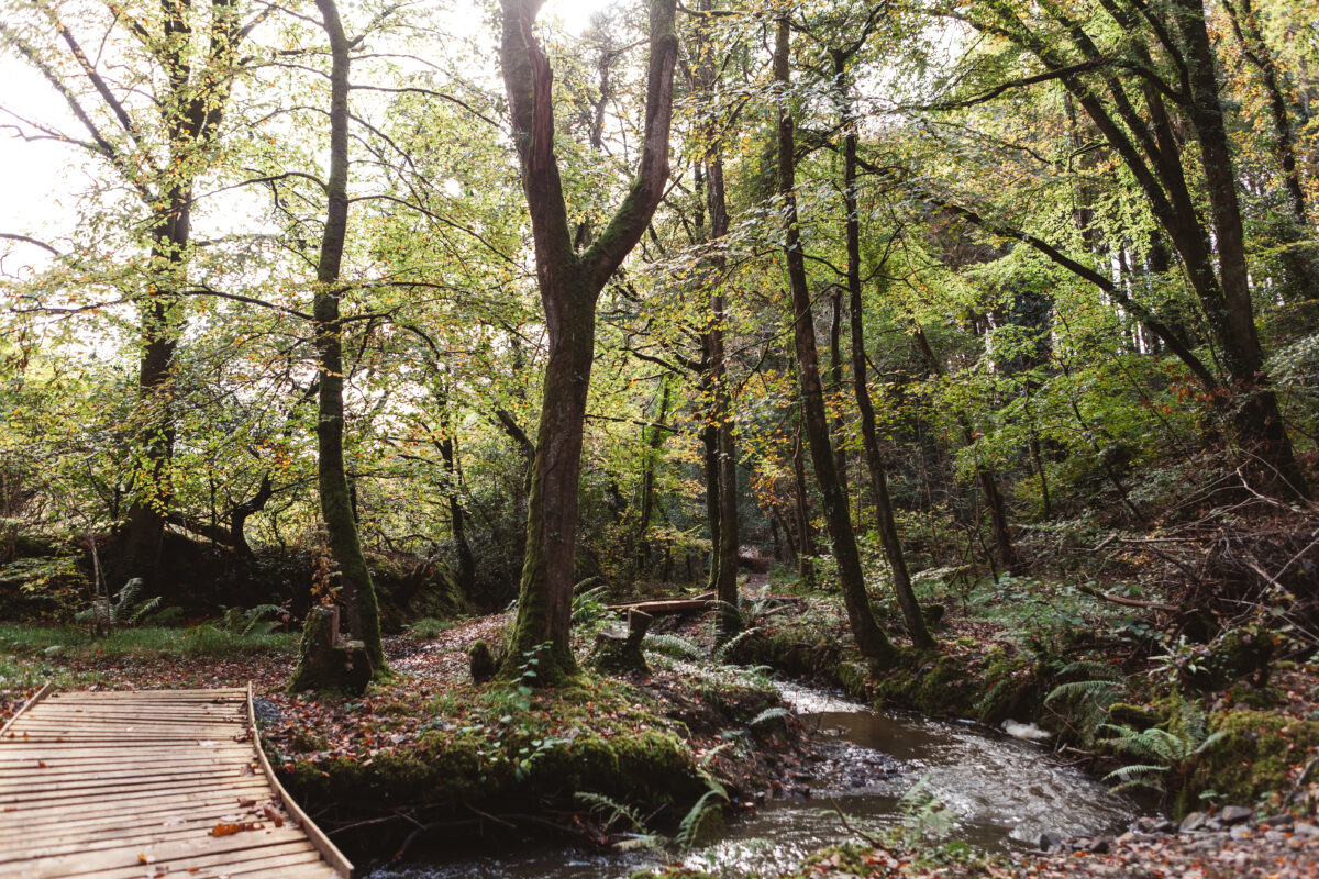 Active Holidays in Bude | Wooda Farm Holiday Park | Cornwall