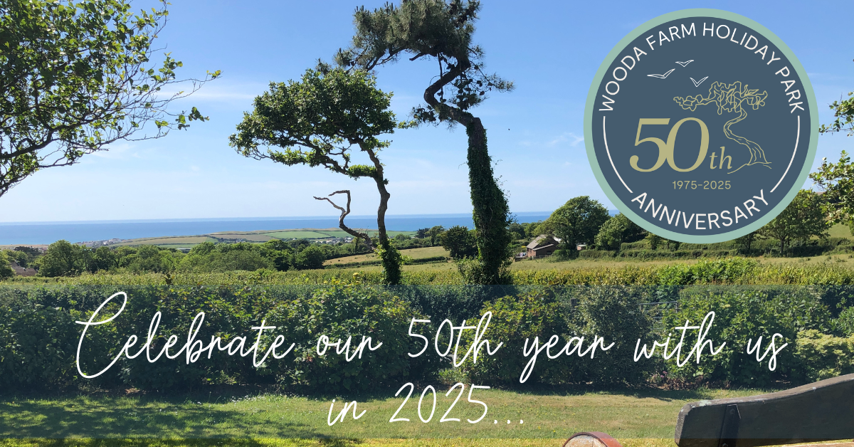 50 Years of Wooda Holiday Park | A Cornish Holiday Park Legacy